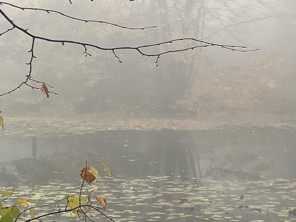 Mind is a big fog – Practicalspirituallife