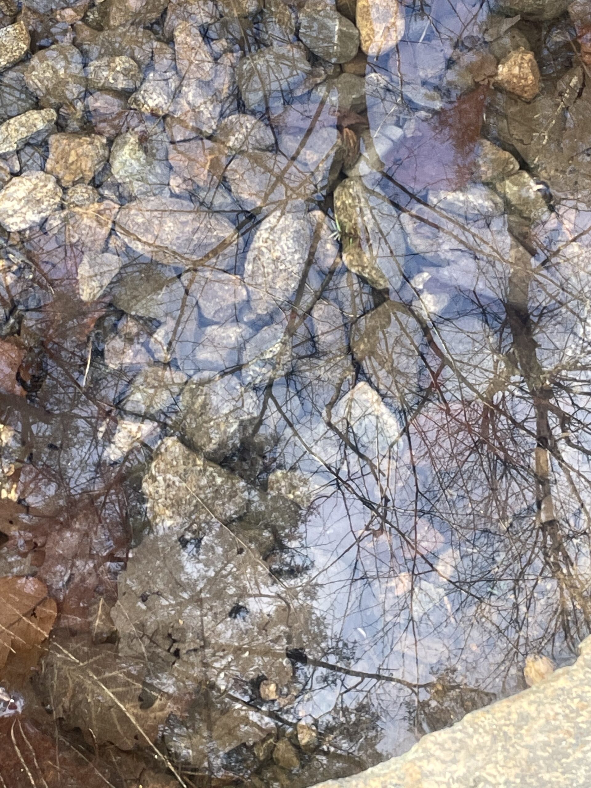 What do you see in this picture? Find your spiritual depth ...