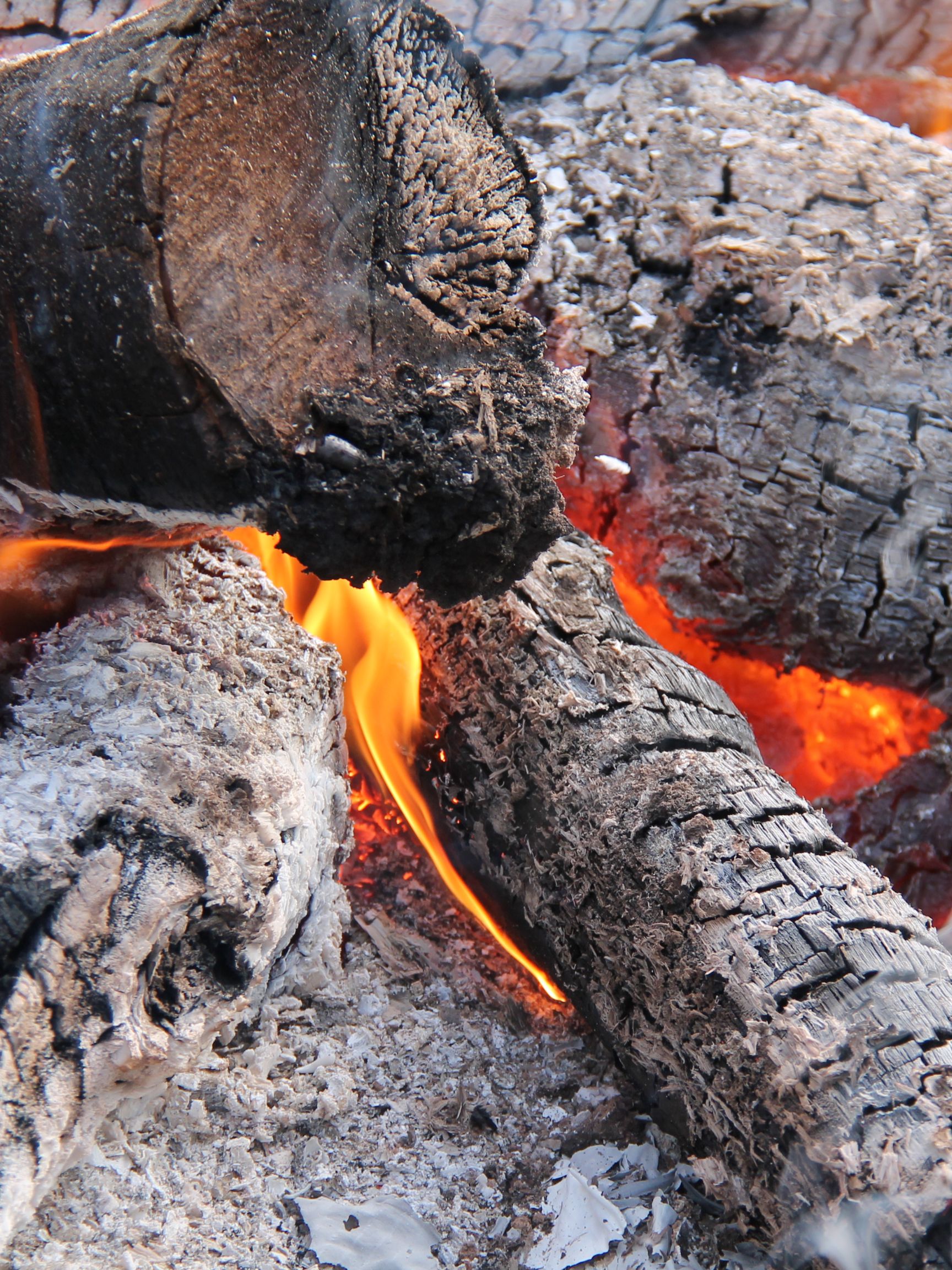 Life of a Fire or Ash, your choice. – Practicalspirituallife